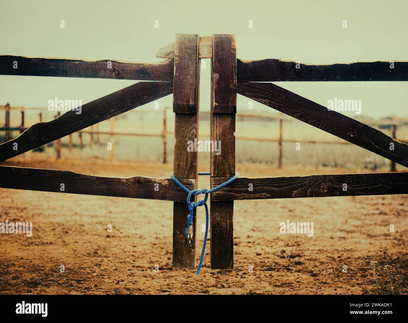 Rope knot at the pasture fence hi-res stock photography and images - Alamy