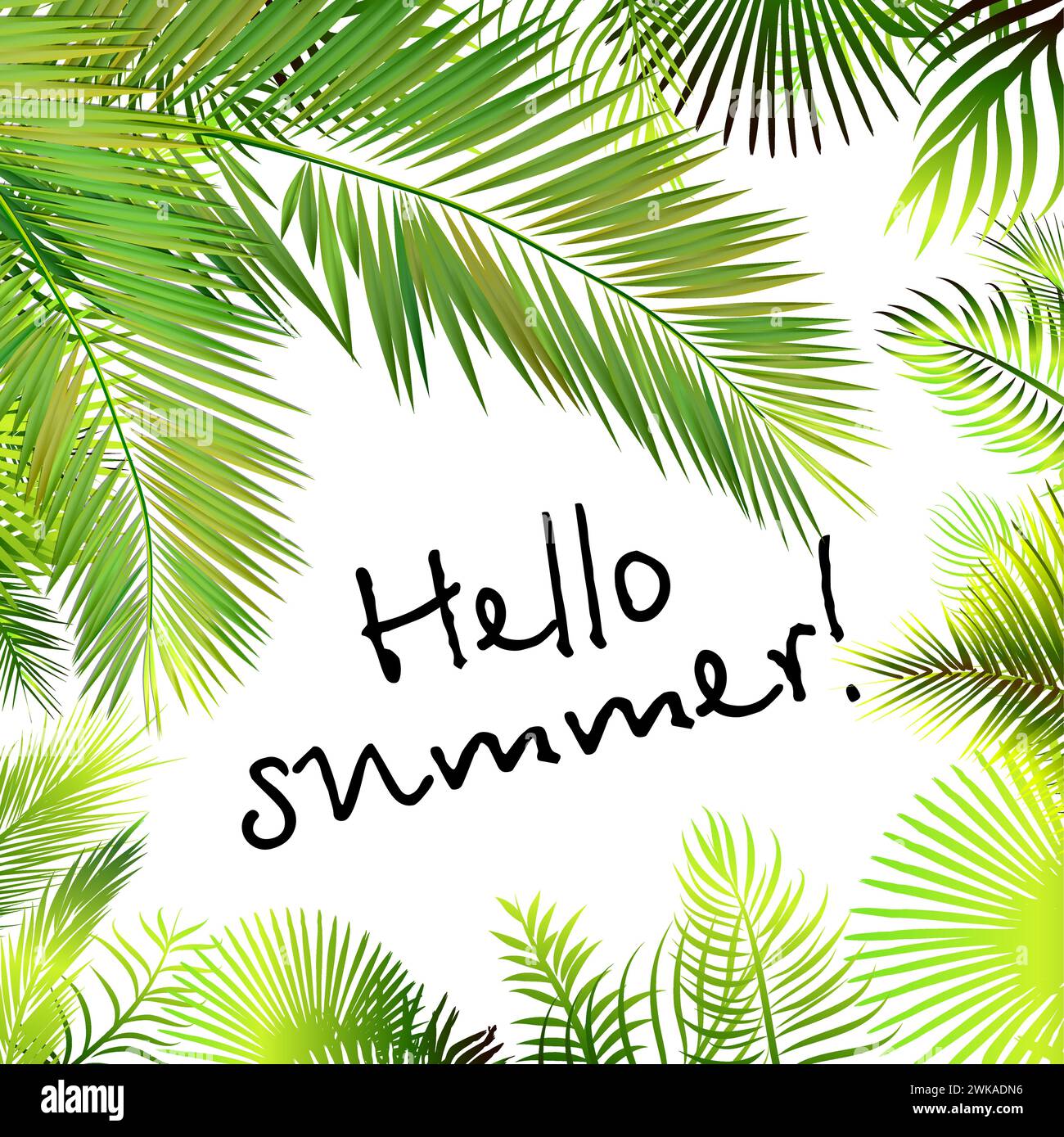 Hello summer. Background with palm leaves. Hello summer. hand drawing ...