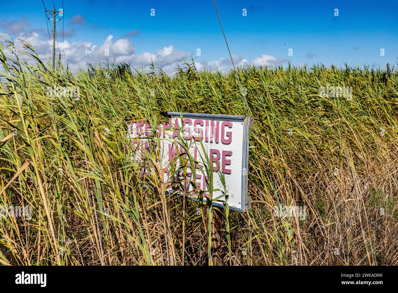 sign Trespassing fine will be executed in a field at the coast in ...