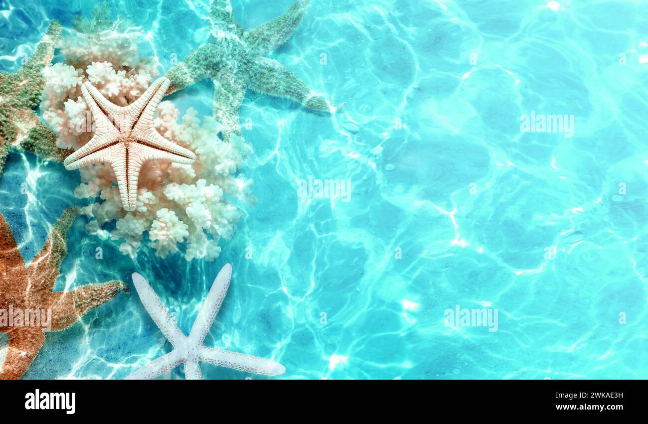 Starfish on the summer beach in sea water. Summer background. Summer ...