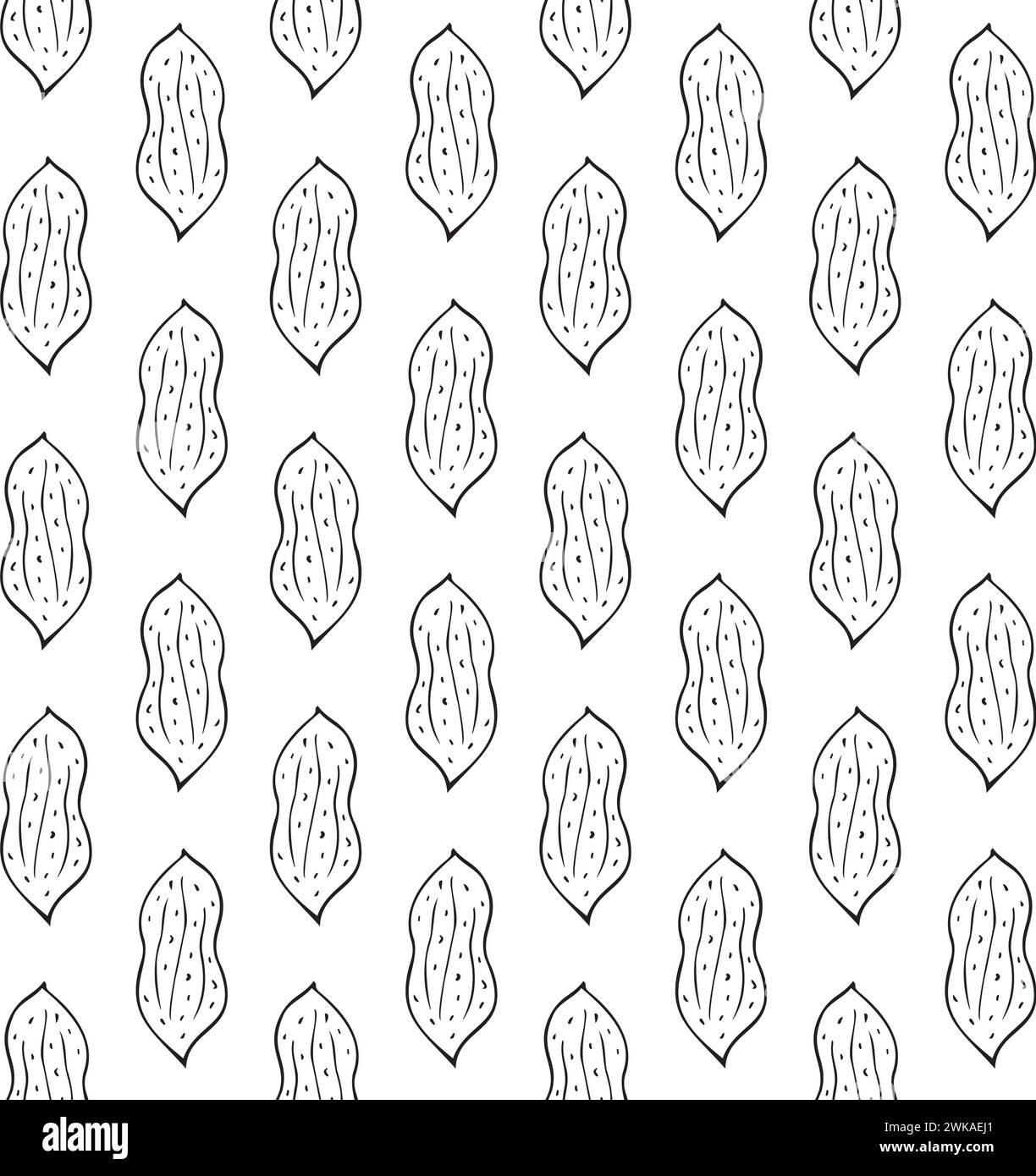 Vector seamless pattern of hand drawn doodle sketch peanut nut isolated ...