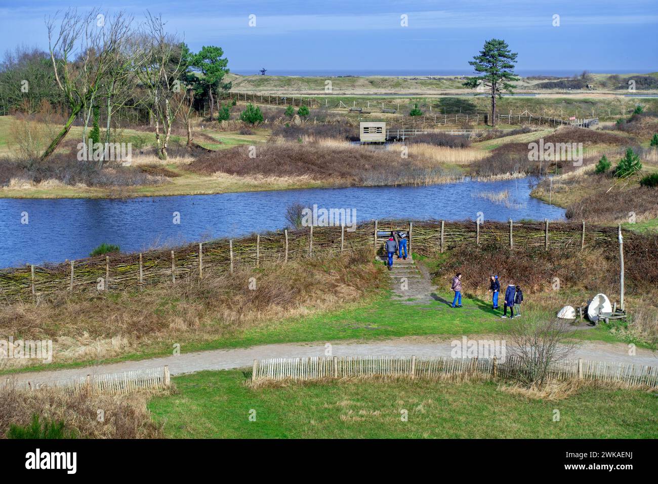 View over the Zwin Nature Park, bird sanctuary at Knokke-Heist and ...