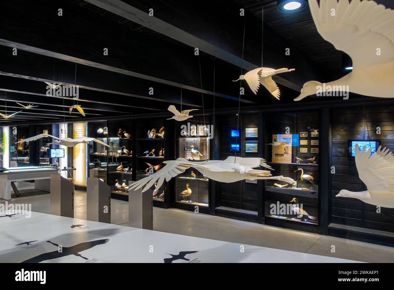 Interior of the visitors centre / visitor center of the Zwin Nature ...