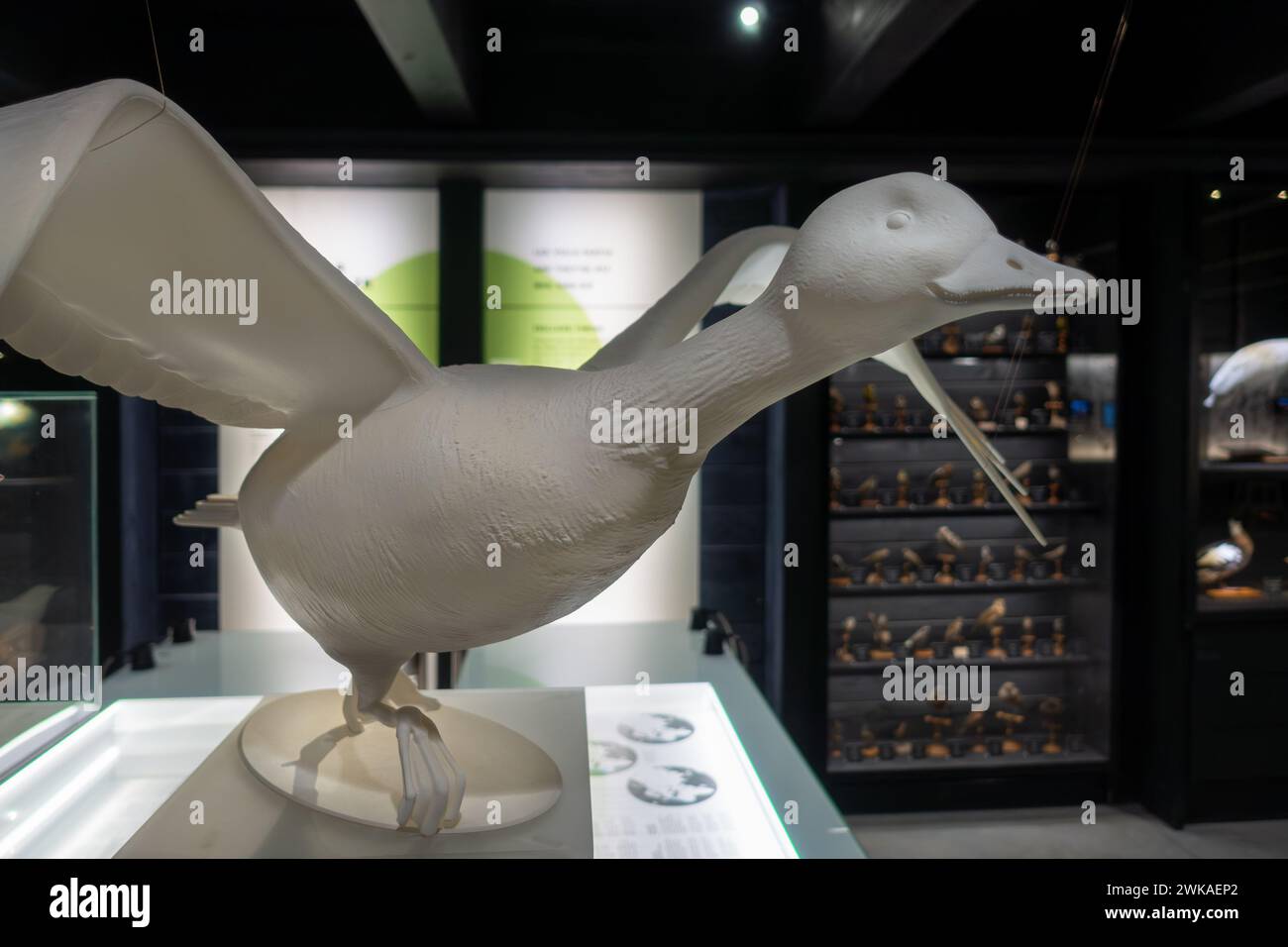 Interior of the visitors centre / visitor center of the Zwin Nature ...