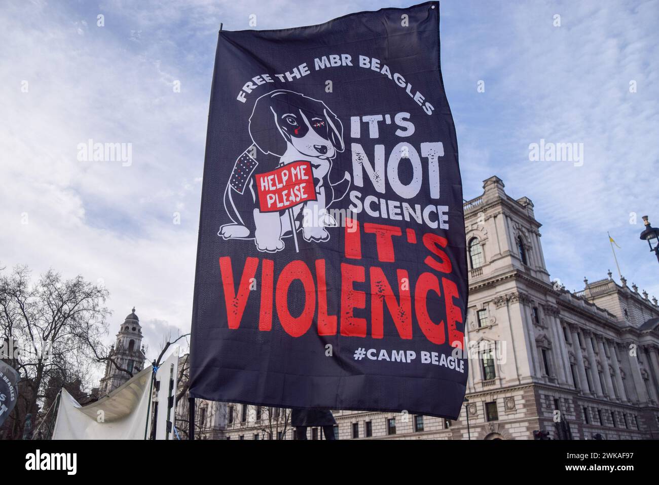 London, UK. 19th February 2024. Camp Beagle and various animal rights ...