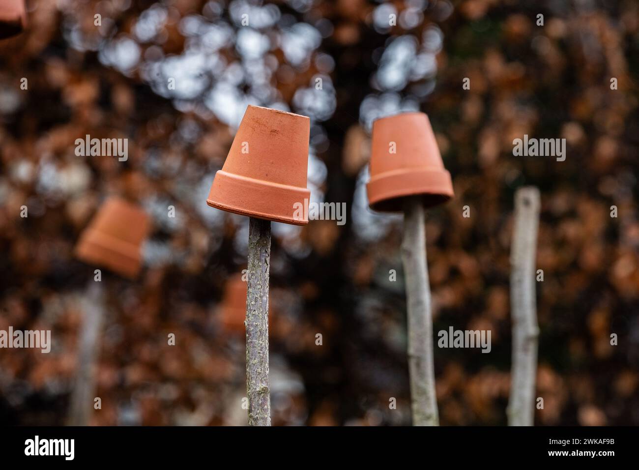 Clay plant pot cane stoppers. Plant pots are being used to protect eyes ...
