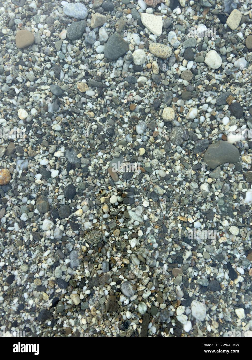 texture of pebbles in sea water Stock Photo - Alamy