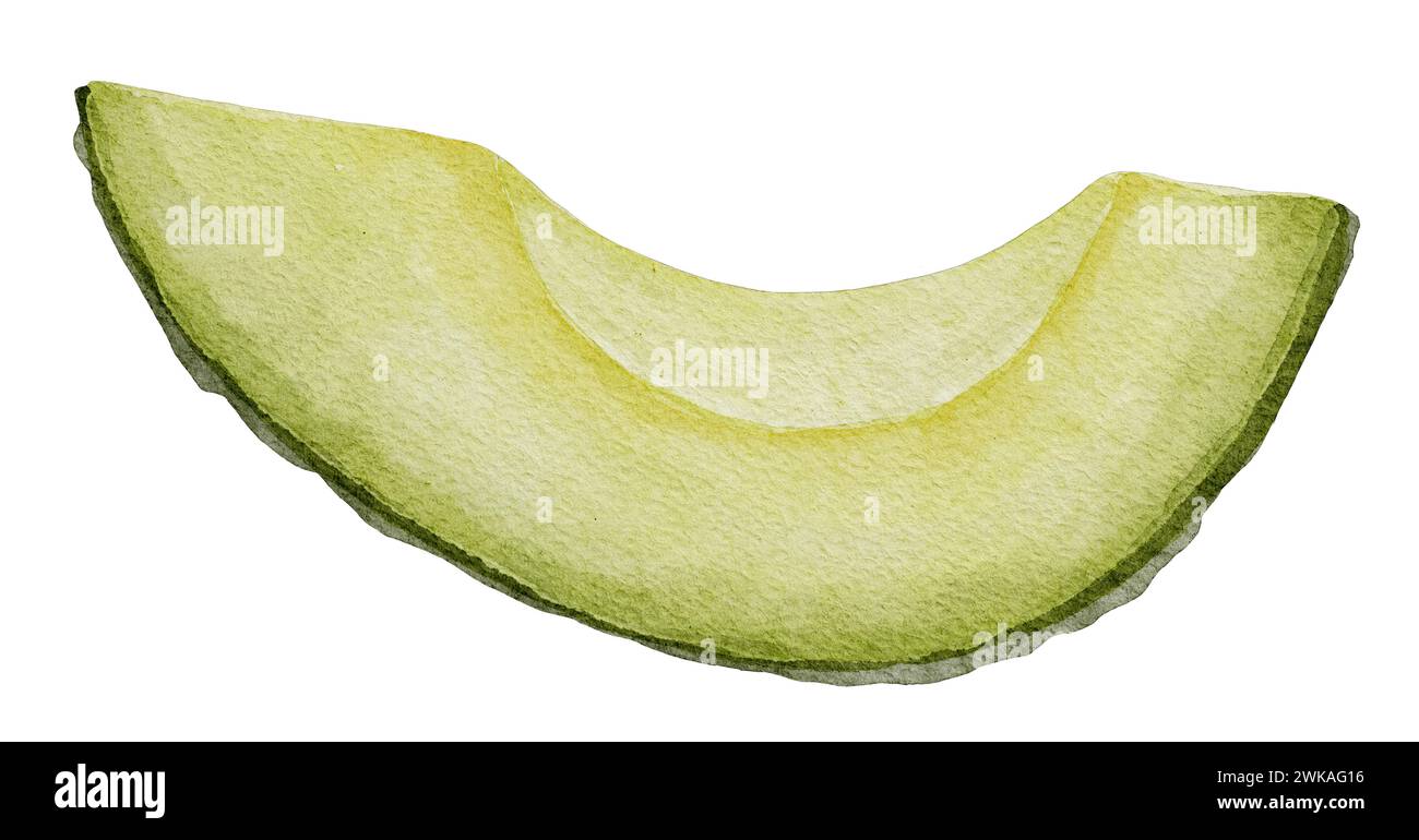 Avocado Slice Watercolor illustration. Hand drawn clip art on isolated ...