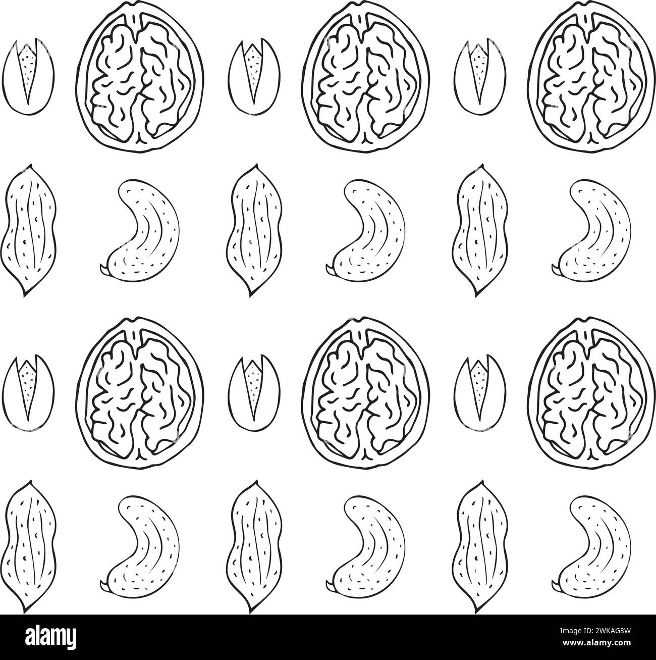 Vector seamless pattern of hand drawn sketch doodle outline nuts ...