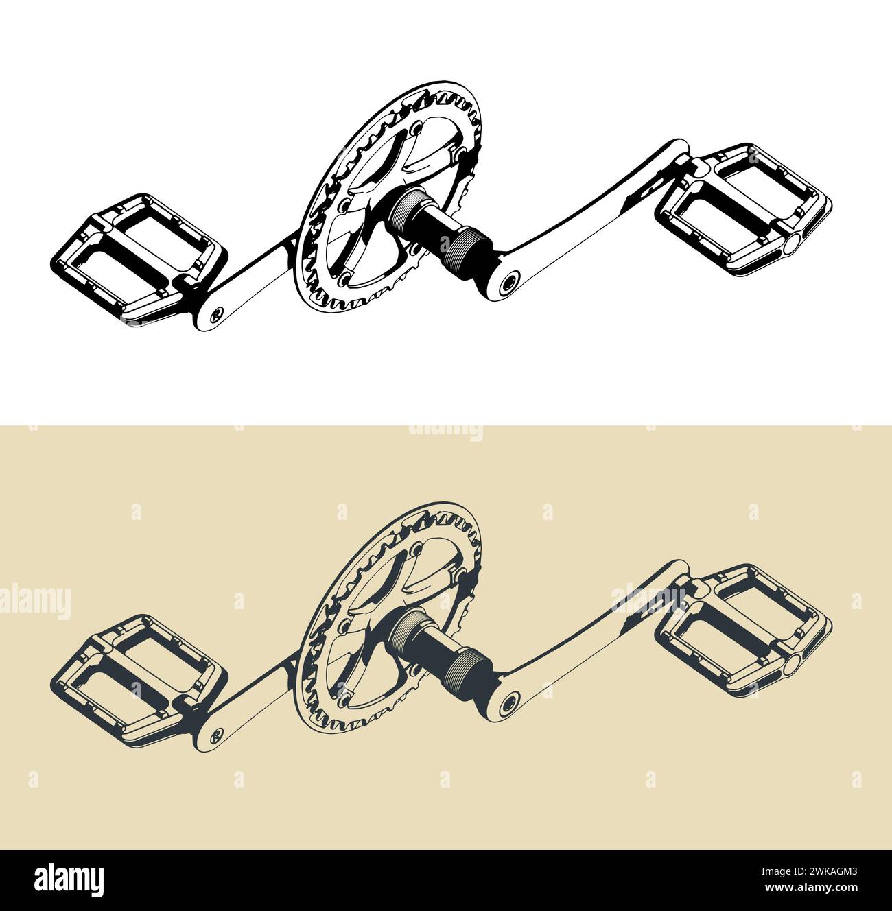 Vector illustrations of a bicycle part. Bicycle crankset with pedals ...