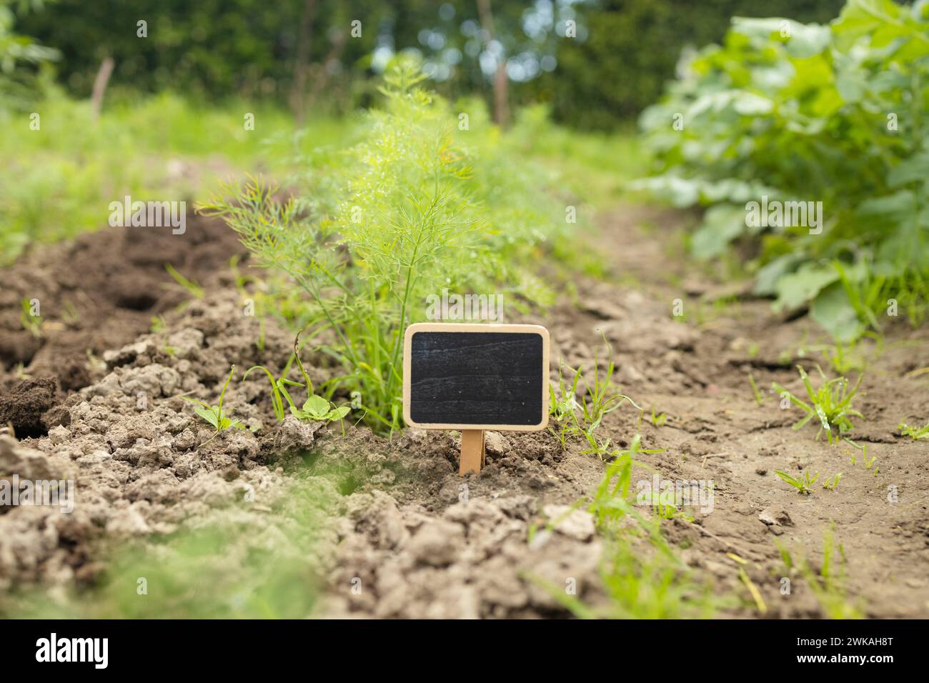 Black blank billboard against green field landscape. Empty mockup ...