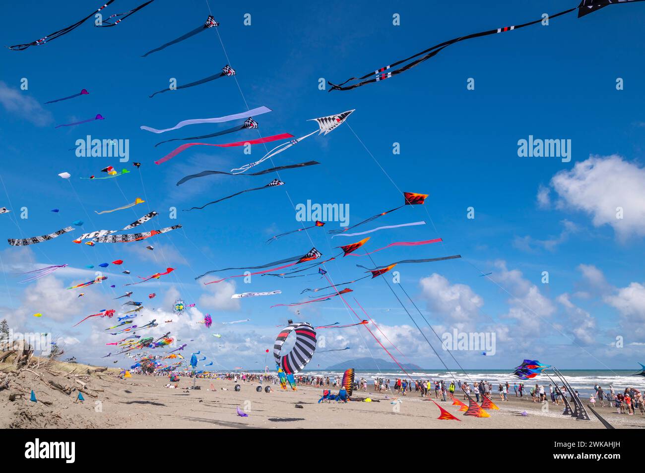 Otaki Beach Kite Festival 2024 with colourful kites flying in a breezy ...