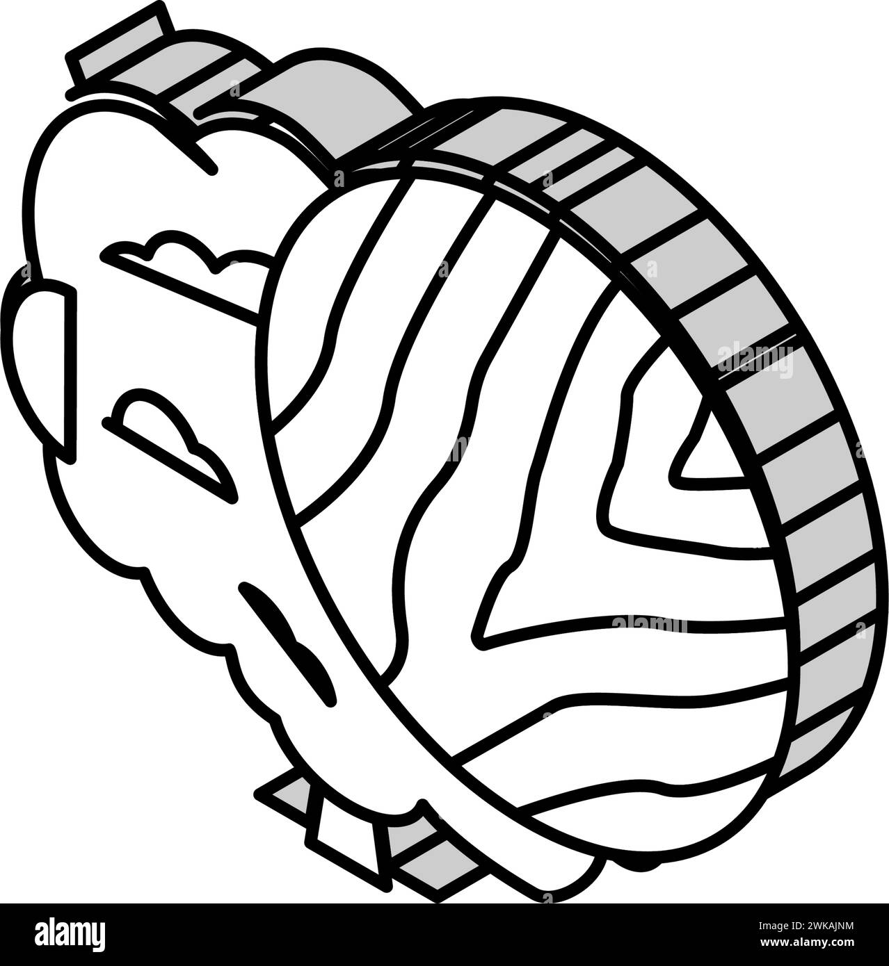 Walnut Wood Isometric Icon Vector Illustration Stock Vector Image And Art Alamy