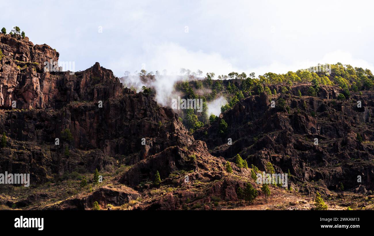 Tree dotted landscape hi-res stock photography and images - Alamy
