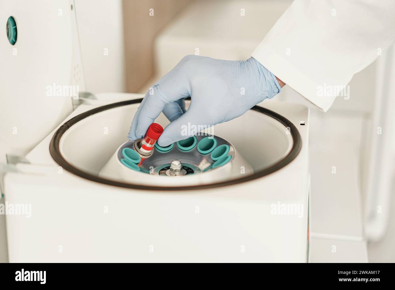 Close up of researcher hand in sterile glove putting test tube into ...