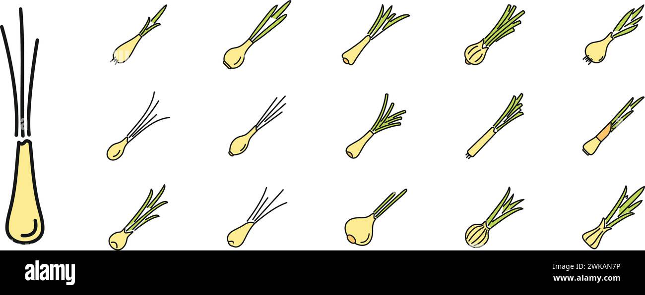 Farming chives icons set outline vector. Cooking plant. Fresh vegetable ...