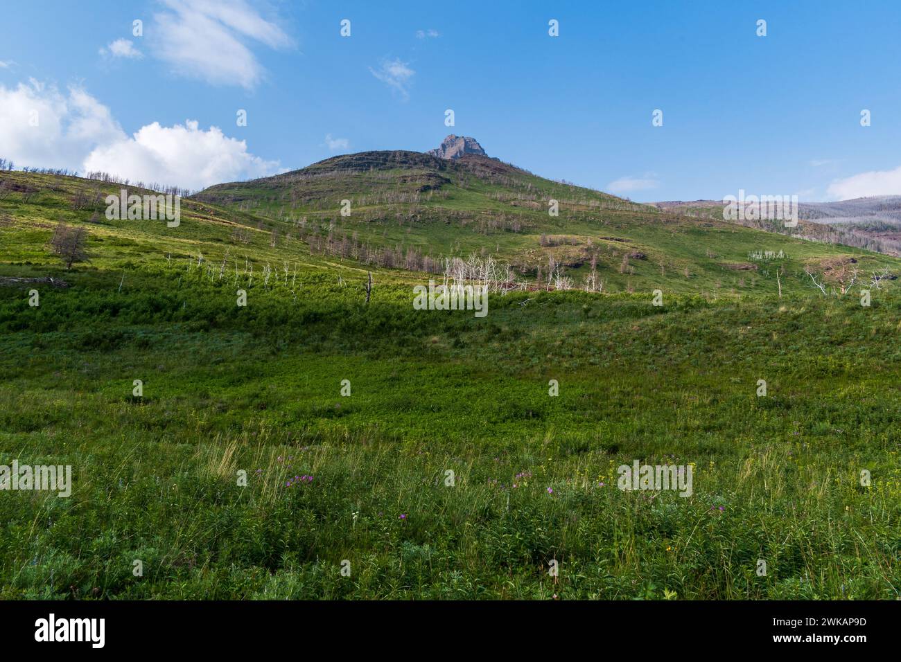 Landscape view of valley in Waterton Lakes National Park, Alberta, AB ...