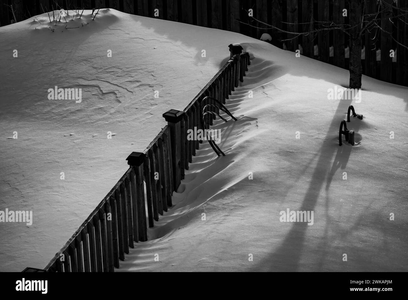 Urban trees casting shadows onto the surface of snow in winter Stock ...