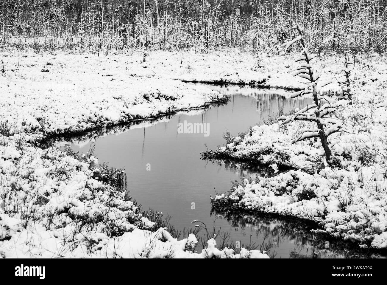 A channel leads into a marsh in winter Stock Photo - Alamy
