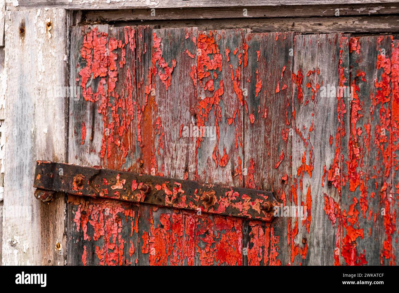 Peeling red paint on the door of an abandoned barn Stock Photo - Alamy