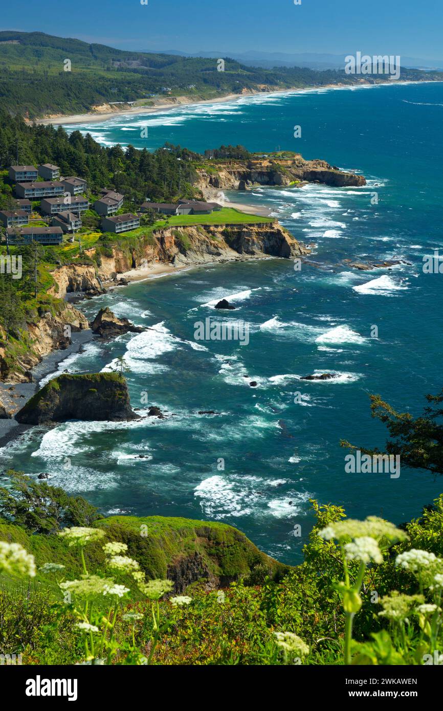 Coast view with cow parsnip from Cape Foulweather, Otter Crest State ...