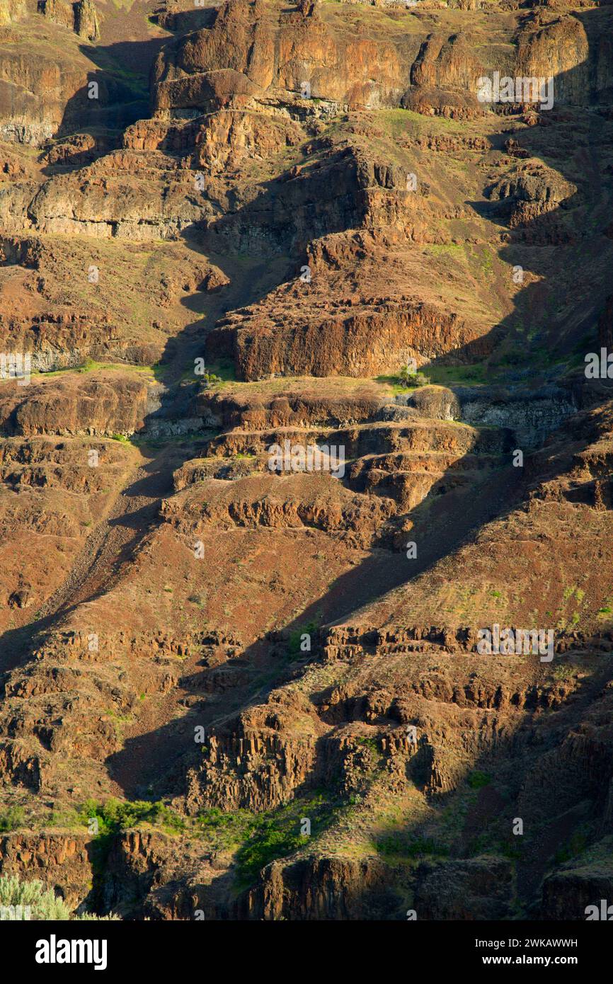 Deschutes River canyon slope, Lower Deschutes River National Back ...