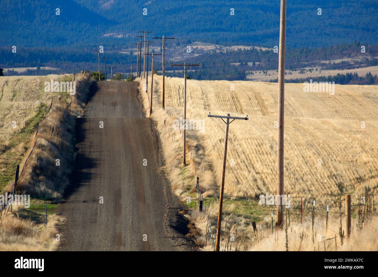 Tygh ridge hi-res stock photography and images - Alamy