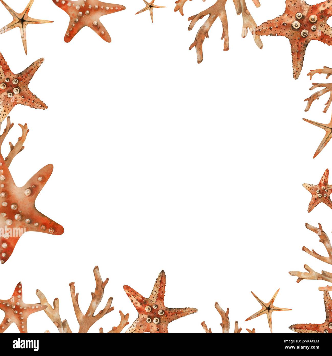 Common starfish drawing hi-res stock photography and images - Alamy