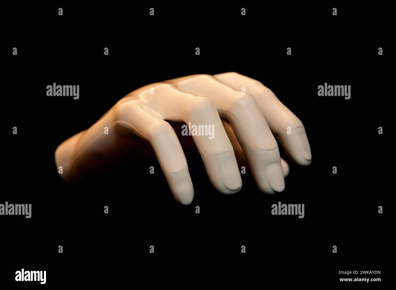 Singular model hi-res stock photography and images - Alamy