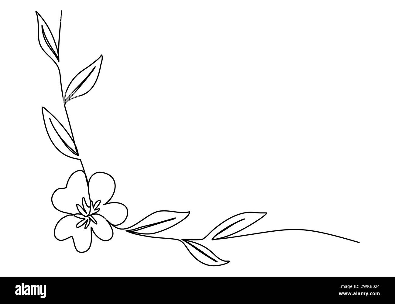 Flower Frame Drawing Easy And Beautiful