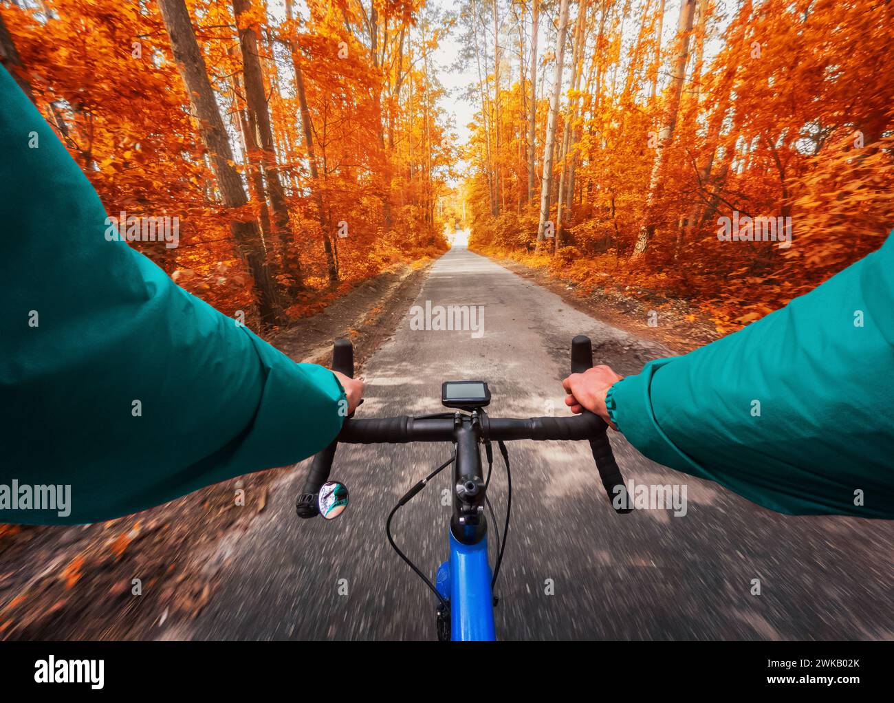 Woodland cycle way hi-res stock photography and images - Alamy