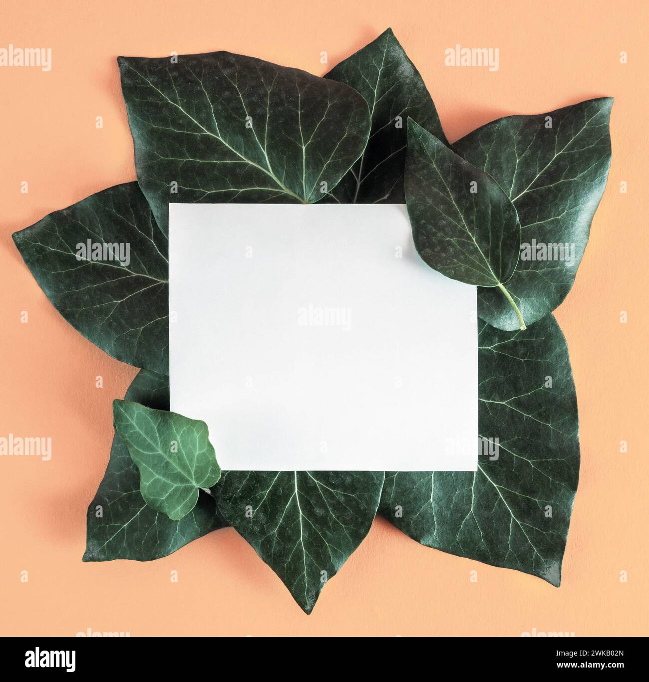 Creative layout made with with green leaves and paper card note ...