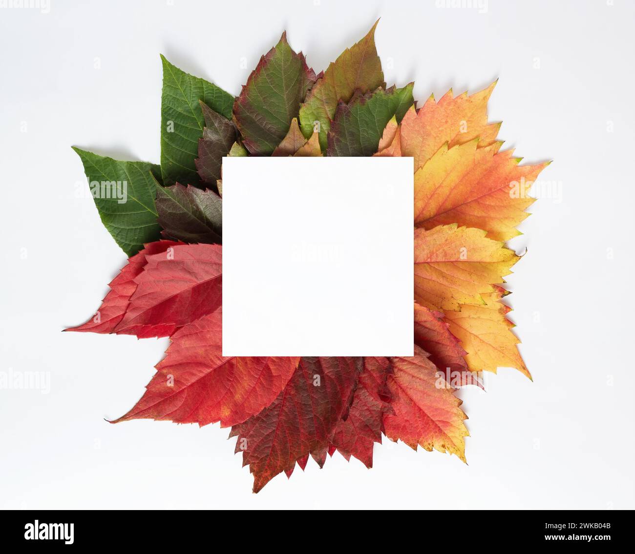 Abstract square holiday card hi-res stock photography and images - Alamy