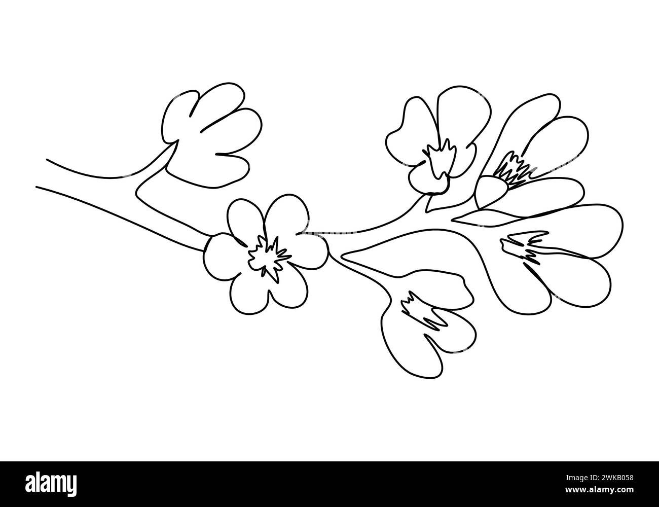Cherry blossom one line drawing vector illustration Stock Vector Image ...