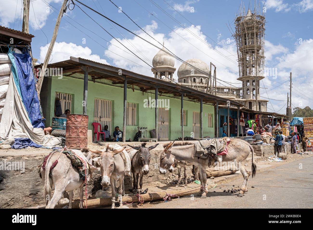 In the highlands of Abyssinia, village in the Semien Mountains, Street ...