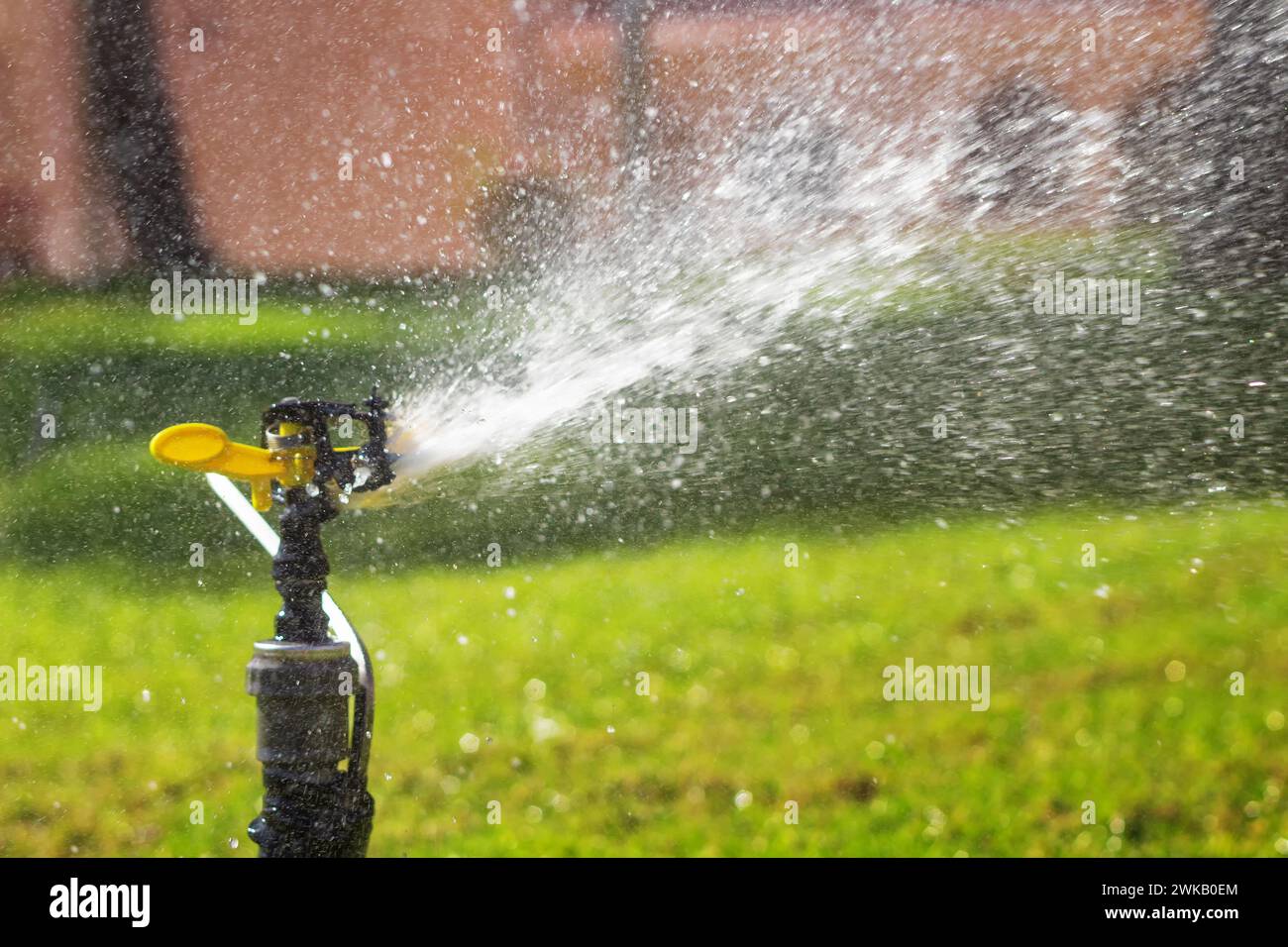 Sprinkler watering the grass on the lawn. Water irrigation system ...