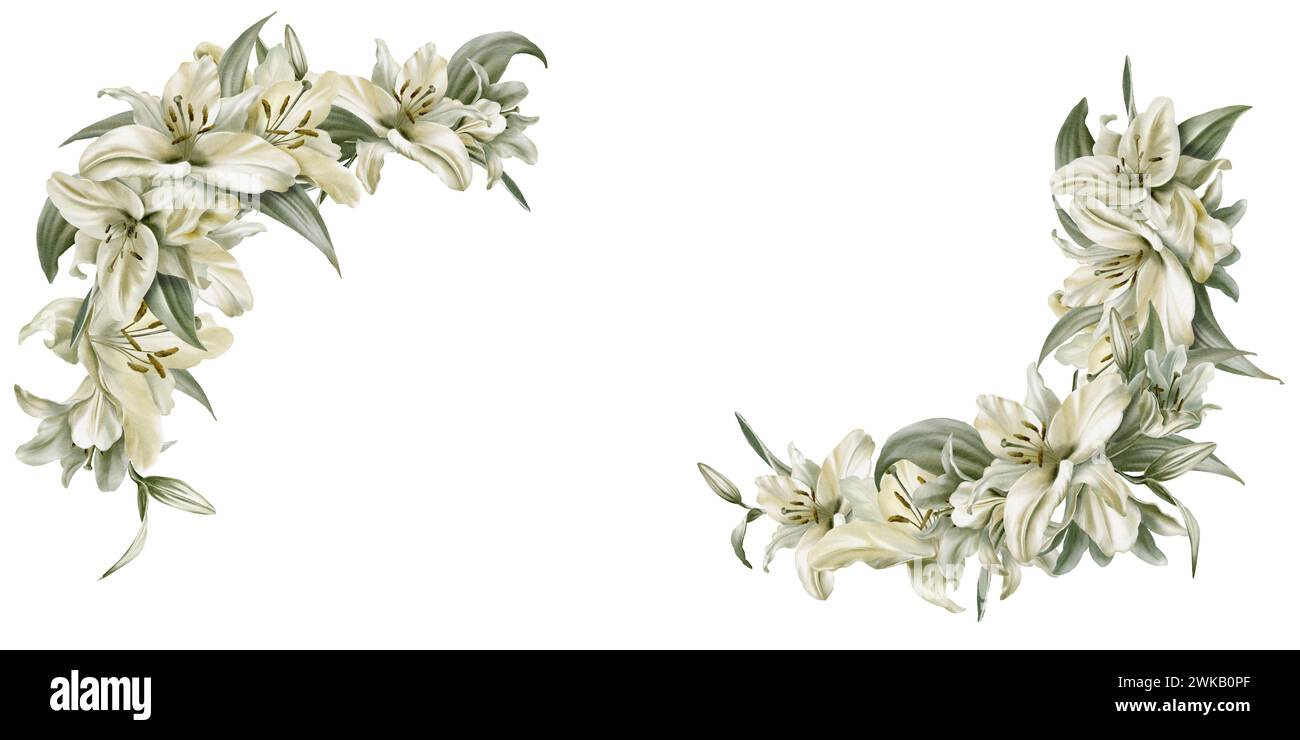 Watercolor corner frame of white lily flowers with leaves. For ...
