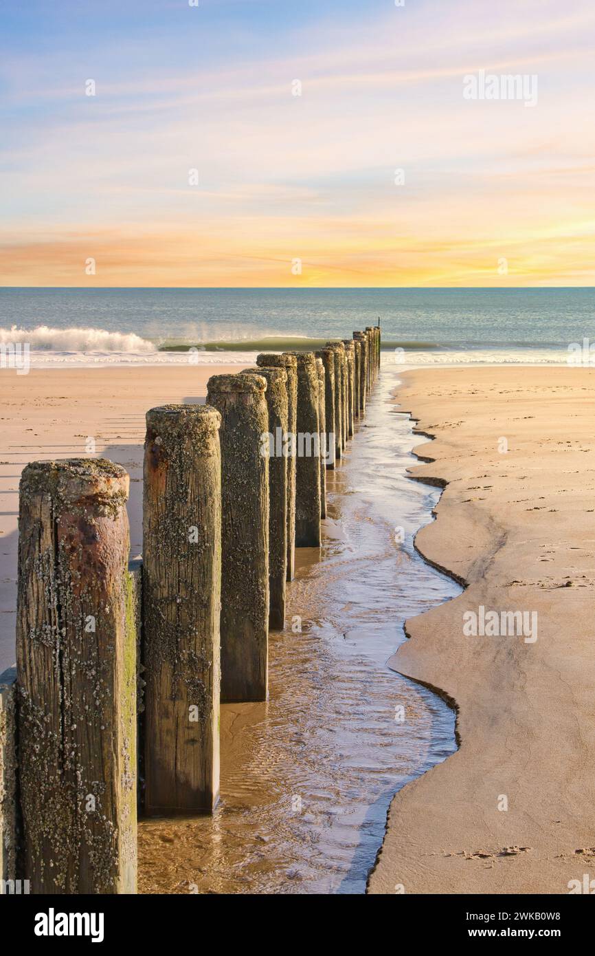 Beach wood struts leading into the sea Stock Photo - Alamy
