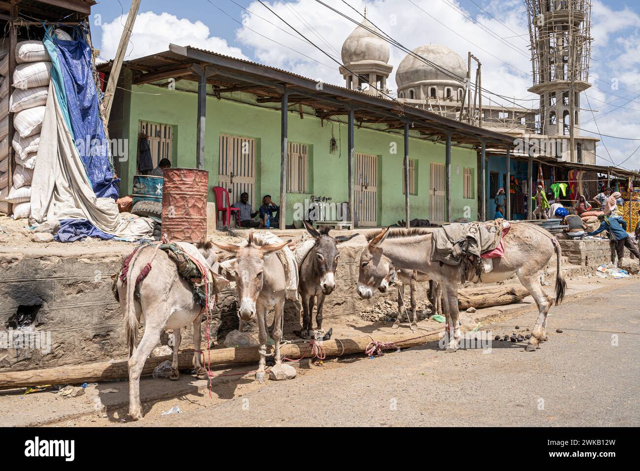 In the highlands of Abyssinia, village in the Semien Mountains, Street ...
