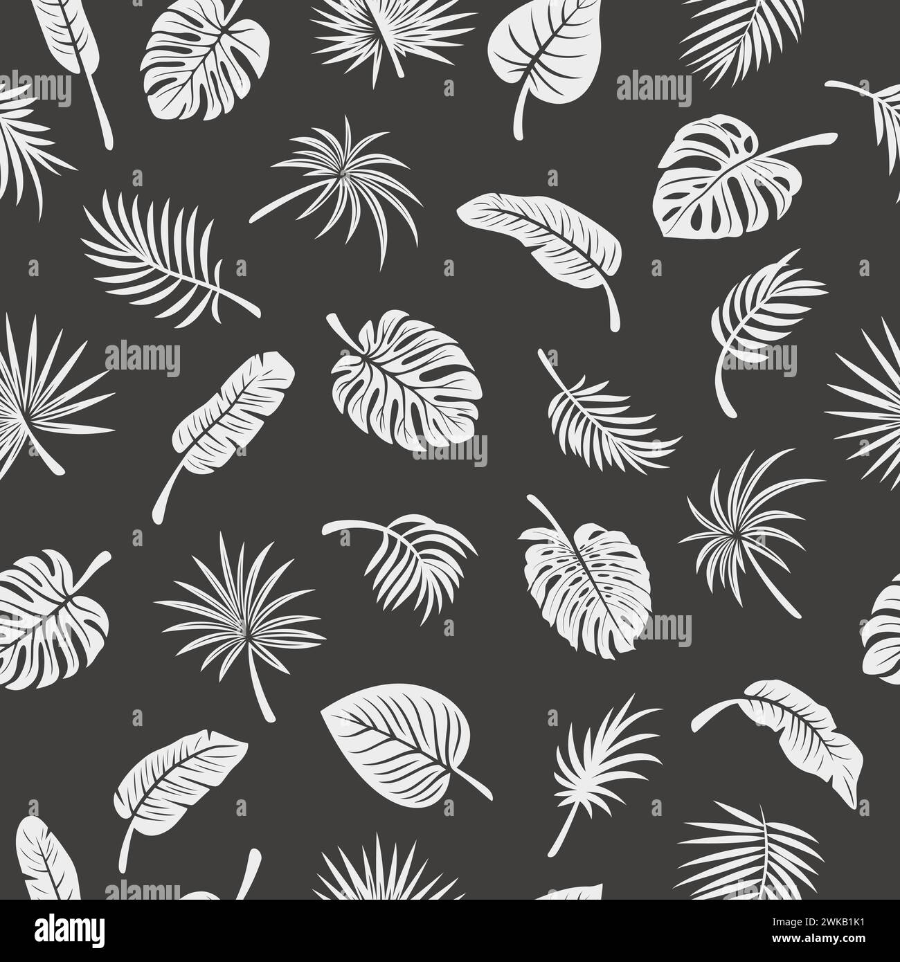 Sabal palm illustration Stock Vector Images - Alamy