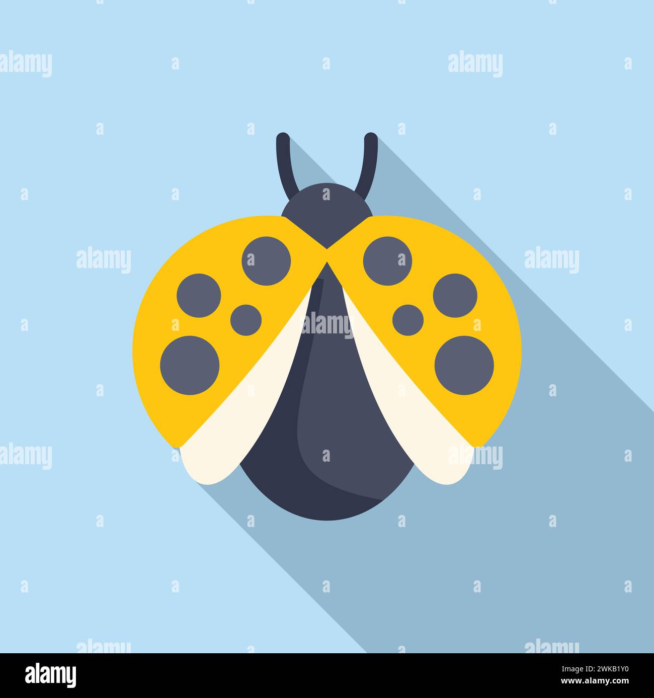Ladybird red beetle coccinellidae Stock Vector Images - Alamy