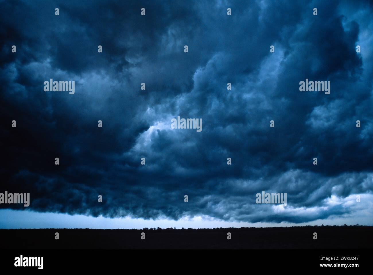 Storm formation at Amazon rainforest. Amazonas State, Brazil Stock ...
