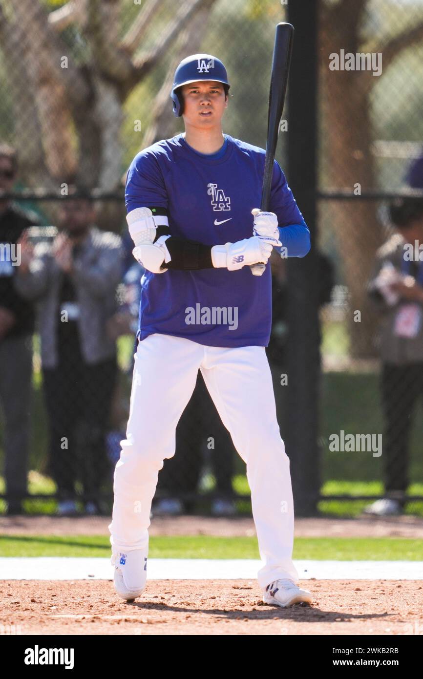 Los Angeles Dodgers designated hitter Shohei Ohtani participates in ...