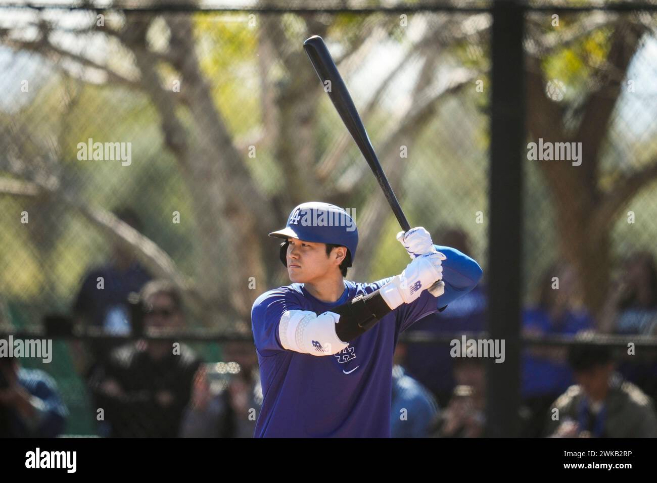 Los Angeles Dodgers designated hitter Shohei Ohtani participates in ...