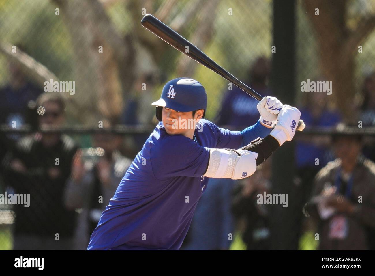Los Angeles Dodgers designated hitter Shohei Ohtani participates in ...