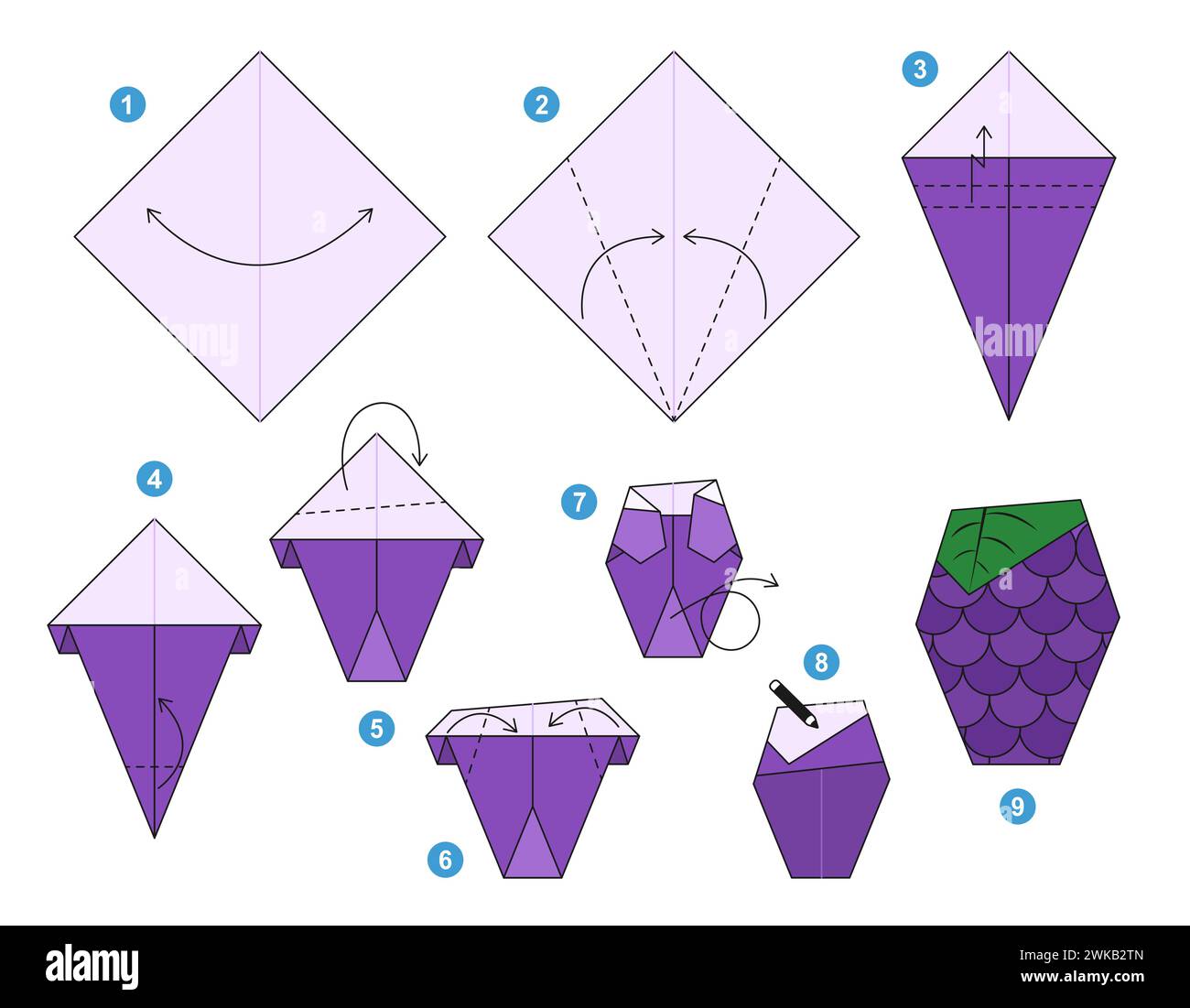 Origami tutorial for kids. Paper grape Stock Vector Image & Art - Alamy
