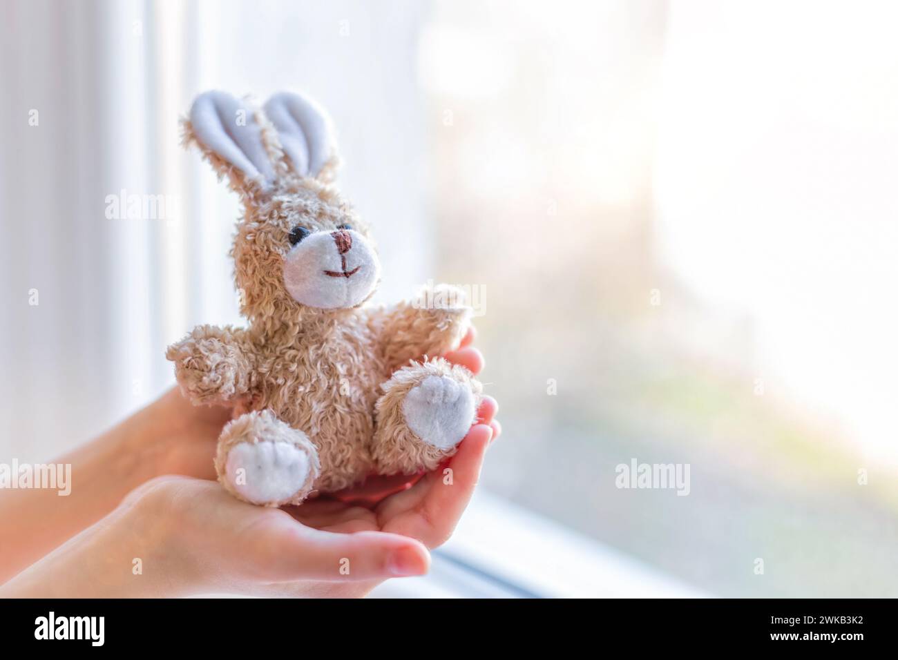 soft toy little bunny in children's hands on an empty windowsill Stock ...