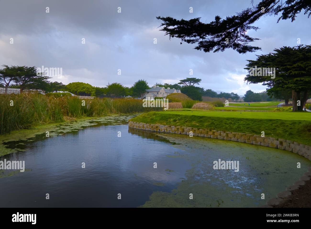 Creek along Half Moon Bay coastal trail Stock Photo - Alamy