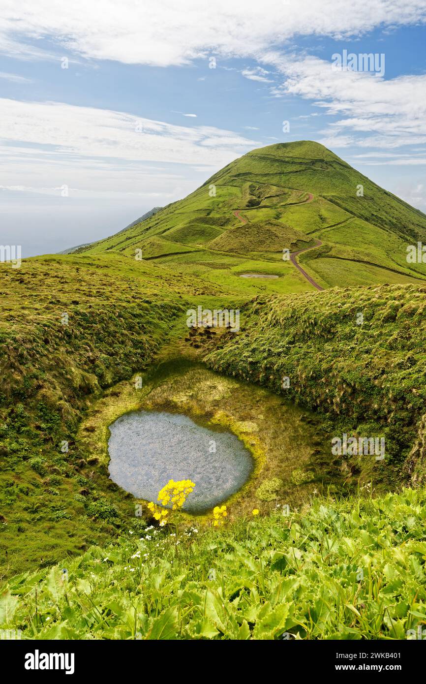 A small crater lake in the middle of a lush green landscape with some ...