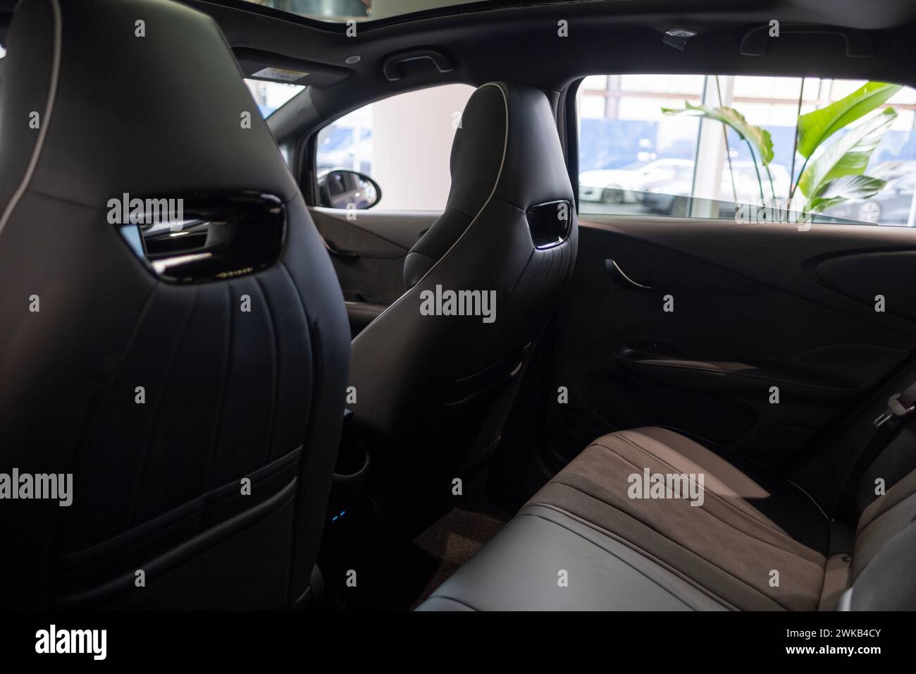 Interior, cockpit, bright car interior BYD DOLPHIN Electric Car ...